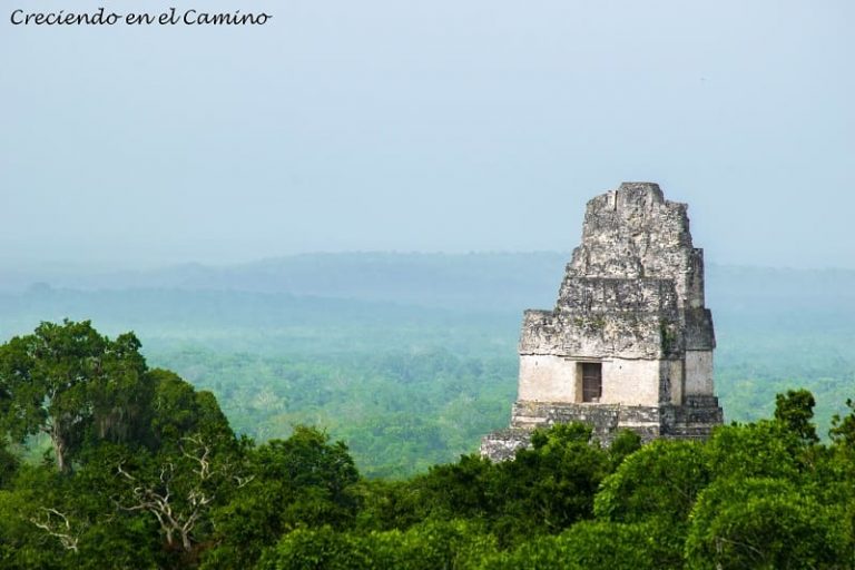 Guía para recorrer las impresionantes ruinas de Tikal en Guatemala.